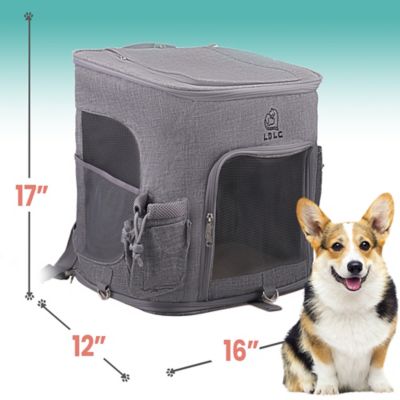 Critter Sitters Pet Backpack for 22 Lbs. Dogs and Cats with Suitcase ...