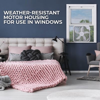 VisionAir 20 in. Box Fan at Tractor Supply Co.