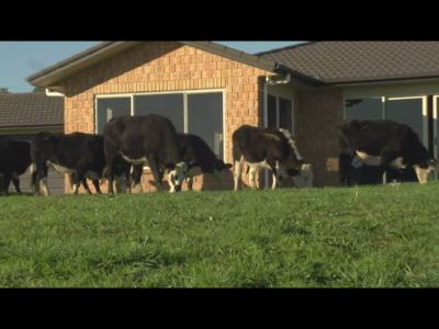 Gallagher M10000i Electric Fence Charger 100 Joule AC Energizer with ...