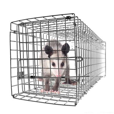 FIRST DEFENSE 24 in. Collapsible Single Door Animal Trap at Tractor ...