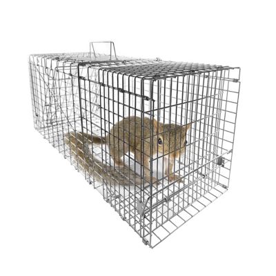 FIRST DEFENSE 32 in. Collapsible Single Door Animal Trap at Tractor ...