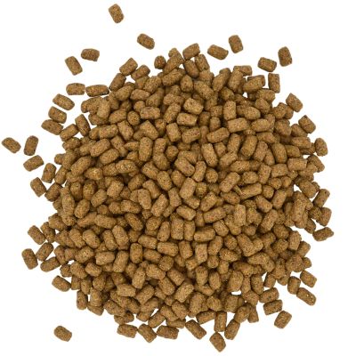 Kent Blue Seal Sentinel Care Omegatin Fat Supplement for Horses at ...