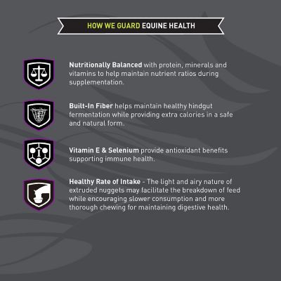 Kent Blue Seal Sentinel Care Omegatin Fat Supplement for Horses at ...