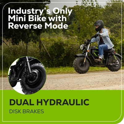 Greenworks 60V STEALTH Battery-Powered Electric Mini Bike, BATTERIES ...