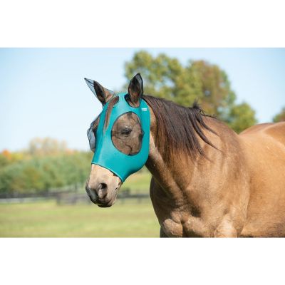 Weaver Equine CoolAid Cooling Fly Mask, M,Teal at Tractor Supply Co