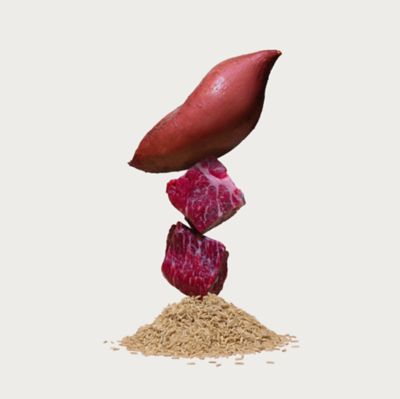Jinx All Life Stages Beef Recipe with Brown Rice and Sweet Potato ...