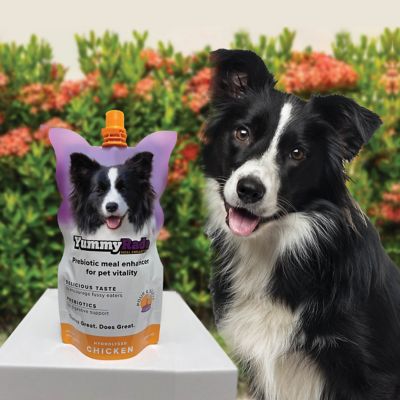 YummyRade Meal Enhancer for Dogs, 10 x 8.4 fl. oz. at Tractor Supply Co