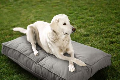Sherry Kline Sunbrella Outdoor and Indoor Pet Bed, L,Dove at Tractor ...