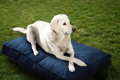 Sherry Kline Sunbrella Outdoor and Indoor Pet Bed, L,Indigo at Tractor ...