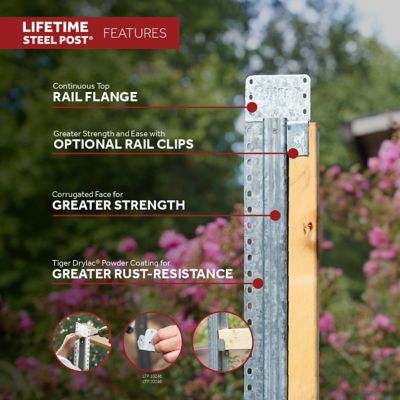 Lifetime Steel Post 8 ft. x 4 in. Powder Coated Steel Metal Fence Post ...