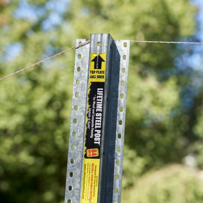 Lifetime Steel Post 8 ft. x 4 in. Powder Coated Steel Metal Fence Post ...