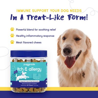 PupGrade Itch & Allergy Chew Supplement for Dogs Immune Support ...