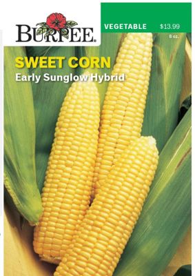 Seeds at Tractor Supply Co.