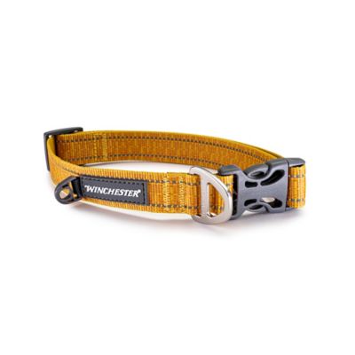 Winchester Pet Signature Ombre Dog Collar, L,Yellow at Tractor Supply Co
