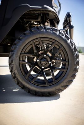 Racka 2-Seater 110V RGC2 Electric Golf Cart at Tractor Supply Co