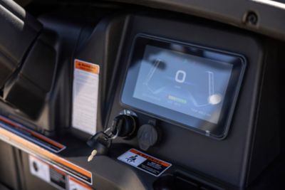 Racka 2-Seater 110V RGC2 Electric Golf Cart at Tractor Supply Co