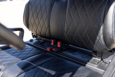 Racka 2-Seater 110V RGC2 Electric Golf Cart at Tractor Supply Co