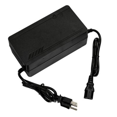 Massimo MGC Charger at Tractor Supply Co.