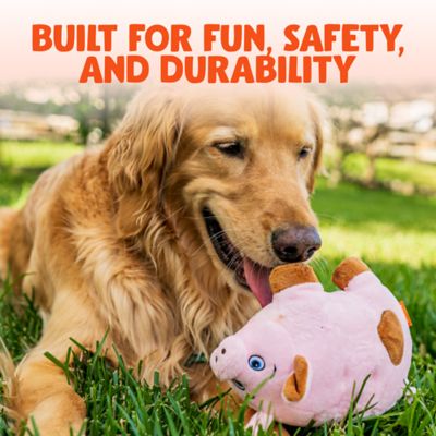 Growl Troffler Plush Dog Toys, Assorted Styles