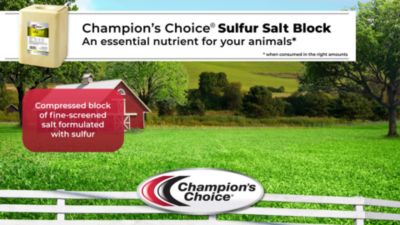Livestock Sulfur Salt Block, 50 lb. at Tractor Supply Co