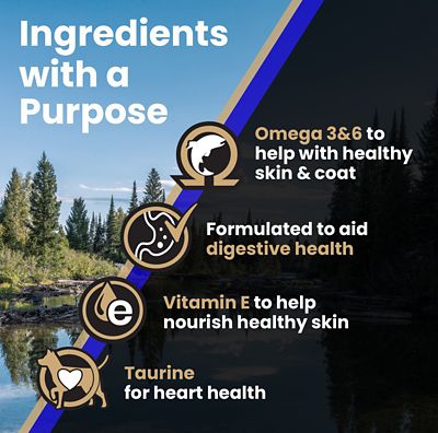 Victor All Life Stages Sensitive Skin and Stomach Beef Meal and Brown ...