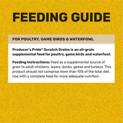 Producer's Pride Scratch Grains Poultry Feed, 50 lb. Bag at Tractor ...