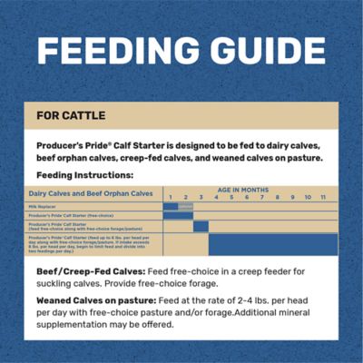 Producer's Pride Calf Starter Pelleted Cattle Feed, 50 lb. Bag at ...