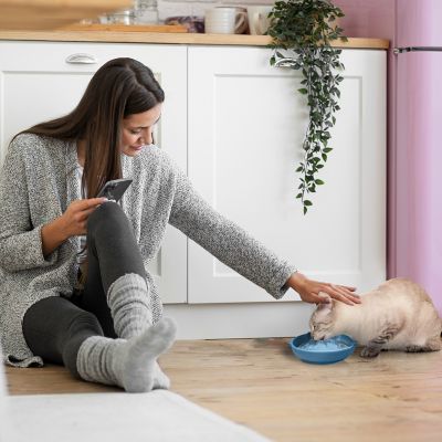 Precious Tails Cat Shaped Silicone Pet Bowl with Non-Slip Suction Base