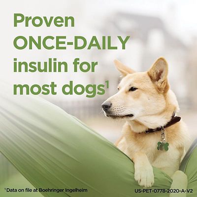 ProZinc Insulin for Dogs and Cats, 10 mL at Tractor Supply Co