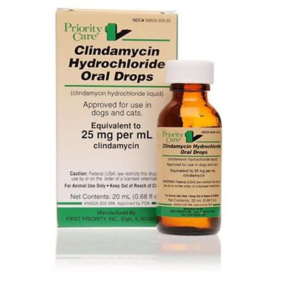 Clindamycin Hydrochloride Oral Drops, 25 mg/mL, 20 mL at Tractor Supply Co