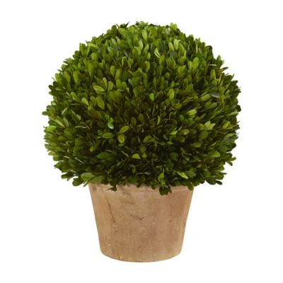 Nearly Natural 12 in. Artificial Boxwood Topiary Ball Preserved Plant ...