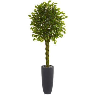 Nearly Natural 6.5 ft. Artificial Braided Ficus Tree in Cylinder ...