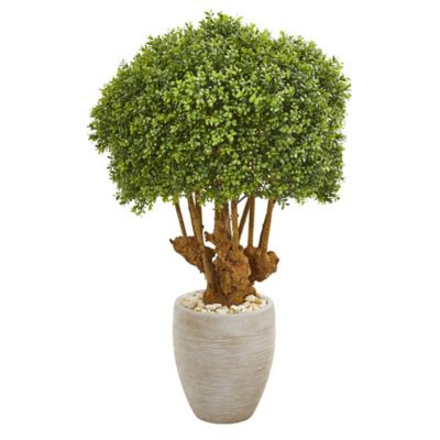Nearly Natural Artificial 41 in. Boxwood Topiary Tree in Sandstone ...
