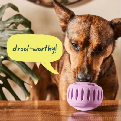 Woof Chicken Refill Pops Dog Treat, Extra Large