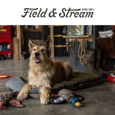 Field & Stream Folding Travel Mat Pet Bed, 38 x 26 in. at Tractor Supply Co