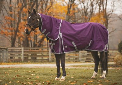Jacks Heritage Collection Boreas Purple Turnout Sheet 1200 Denier ...