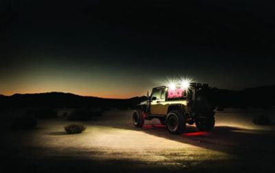 RIGID 2X2 115 Degree DC LED Scene Light Surface Mount Black Housing ...