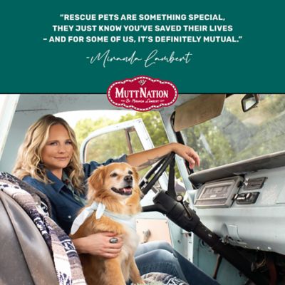 MuttNation Fueled by Miranda Lambert Desert Animal Plush Dog Toy ...