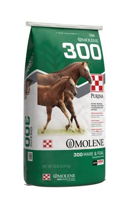 Purina Omolene #300 Growth Foal and Lactating Mare Horse Feed, 50 lb ...