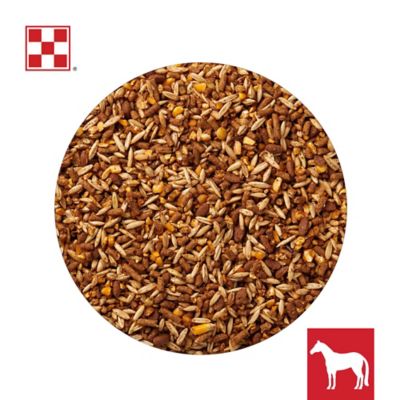 Purina Omolene #300 Growth Foal and Lactating Mare Horse Feed, 50 lb ...