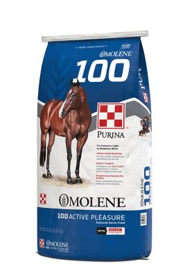 Purina Omolene #100 Active Pleasure Work Horse Feed, 50 lb. Bag at ...