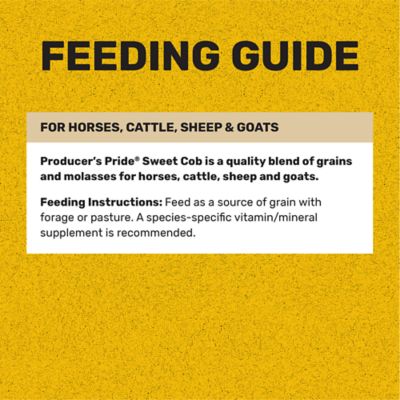 Producer's Pride Sweet Cob Horse Feed, 50 lb. Bag at Tractor Supply Co.