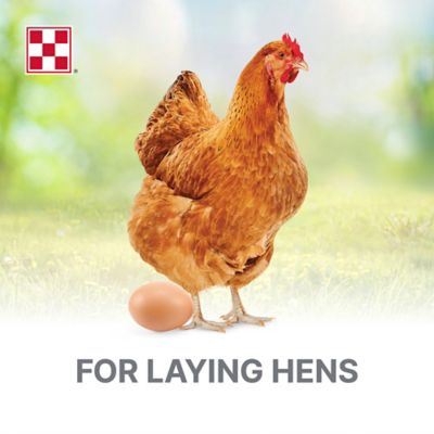 Purina Layena Layer Pelleted Chicken Feed at Tractor Supply Co