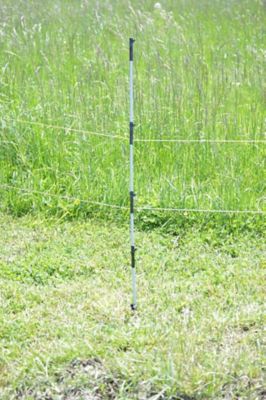 CountyLine 3/8 in. x 4 ft. Fiberglass Step-In Post at Tractor Supply Co.