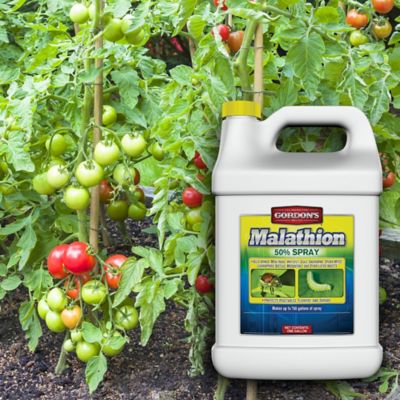 Gordon's 1 gal. Malathion 50% Spray Insecticide Concentrate at Tractor ...