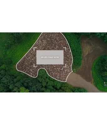 PlotSpike Forage Feast Deer Food Plot Seed, 40 lb. at Tractor Supply Co.