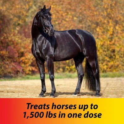 Farnam IverCare Ivermectin 1.87% Horse Dewormer Paste, 0.26 oz. at ...