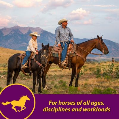 Horse Health Red Cell Iron-Rich Horse Supplement, 1 gal. at Tractor ...