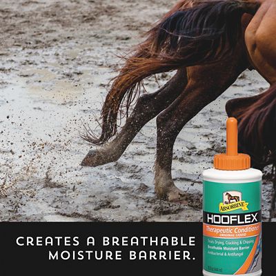 Absorbine Hooflex Therapeutic Horse Hoof Conditioner Liquid, 15 oz. at ...