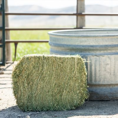 Unbranded Standlee Premium Western Forage Timothy Grass Compressed Hay ...